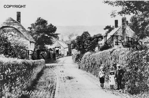 Melplash, Village c1900 • V&E Prints