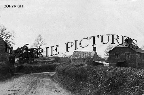 Odstock, Village c1900 • V&E Prints