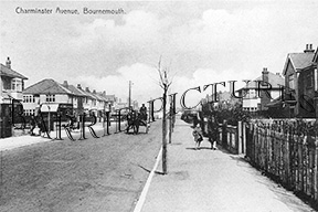 Bournemouth, Charminster Avenue c1915 • V&E Prints