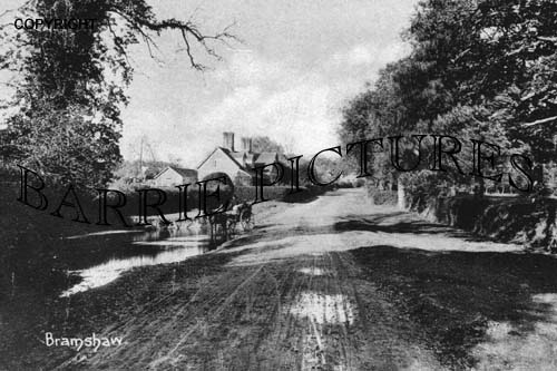 Bramshaw, Village Pond c1900 • V&E Prints