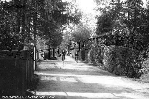 West Wellow, Plantation Road c1910 • V&E Prints