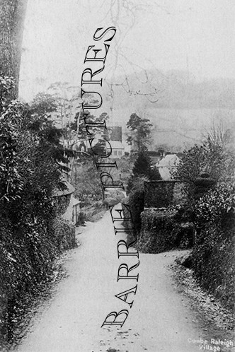 Combe Raleigh, Village c1900 • V&E Prints